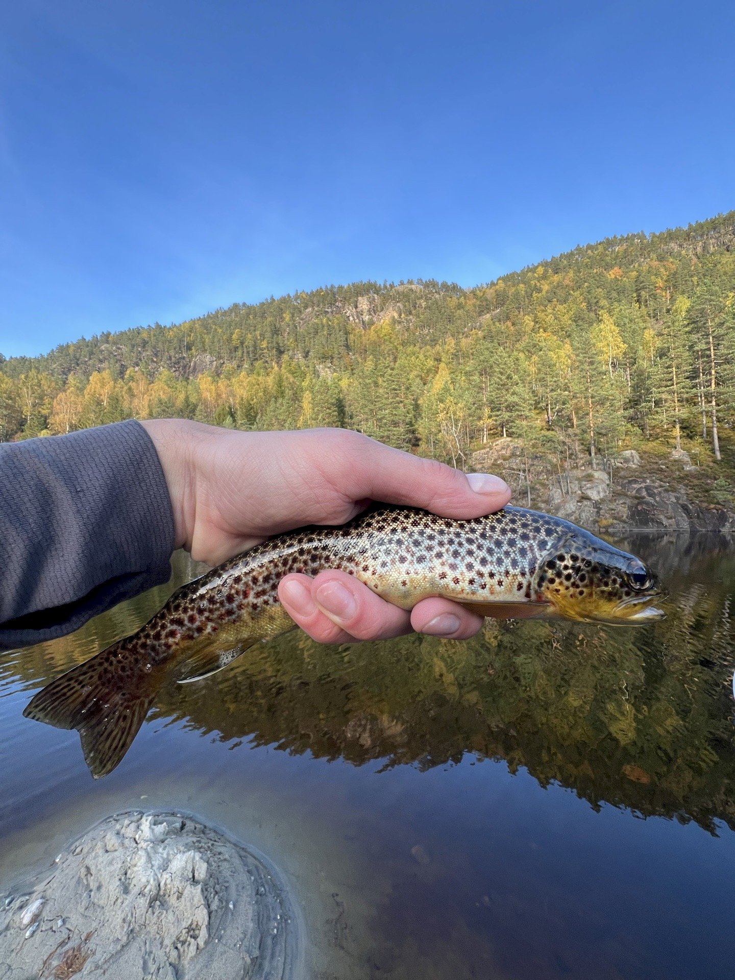 Find fiskepladser, fiske-guides, artikler, inspiration og meget mere