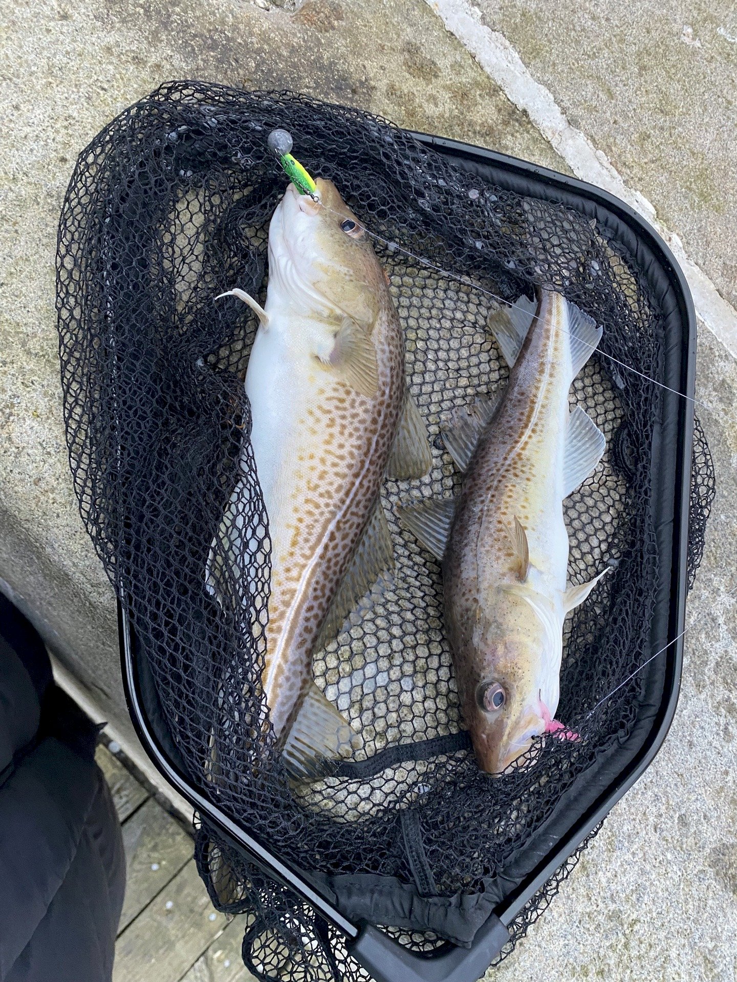 Find fiskepladser, fiske-guides, artikler, inspiration og meget mere