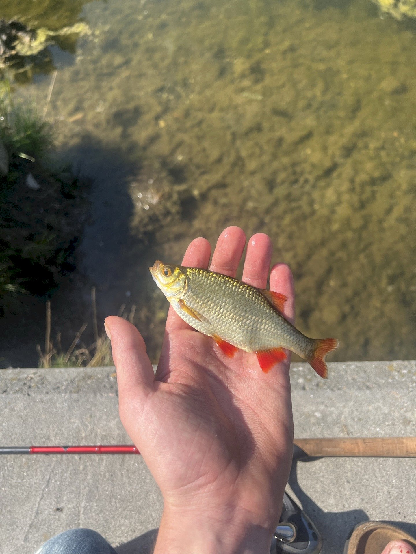 Find fiskepladser, fiske-guides, artikler, inspiration og meget mere